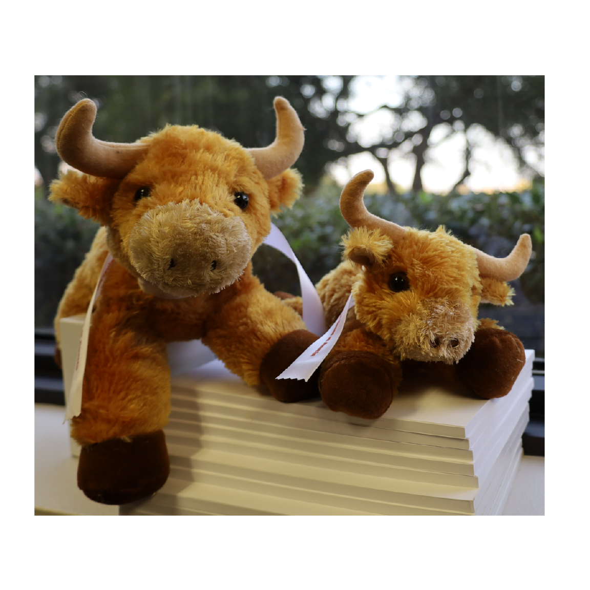 12" Longhorn Plush with UT Ribbon – UT Document Solutions